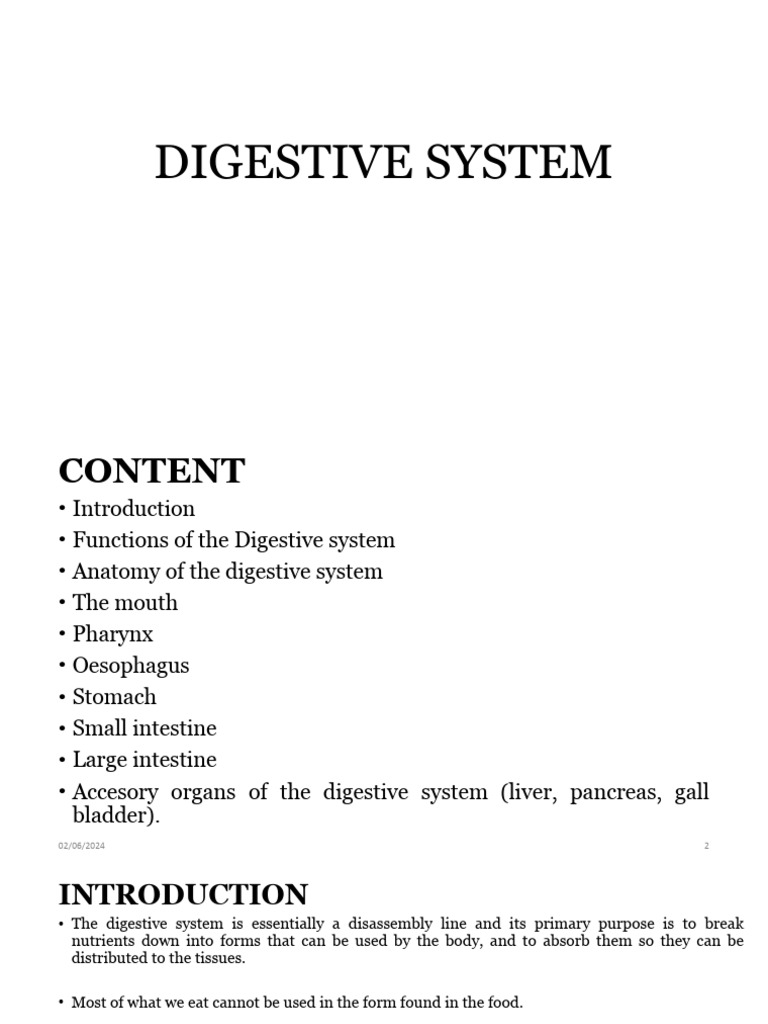 Digestive System Notes | PDF | Stomach | Digestion