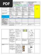 Demo PPT Letrang M | PDF
