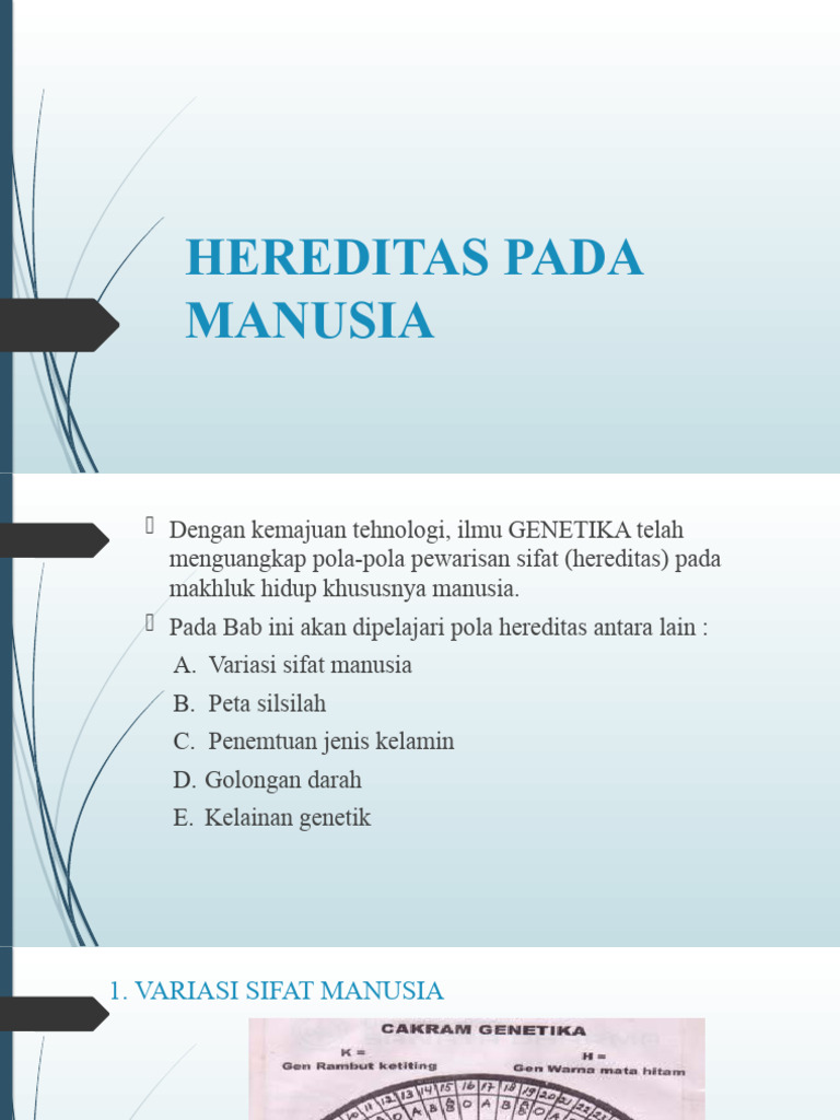 Hereditas Pada Manusia XII IPA | PDF