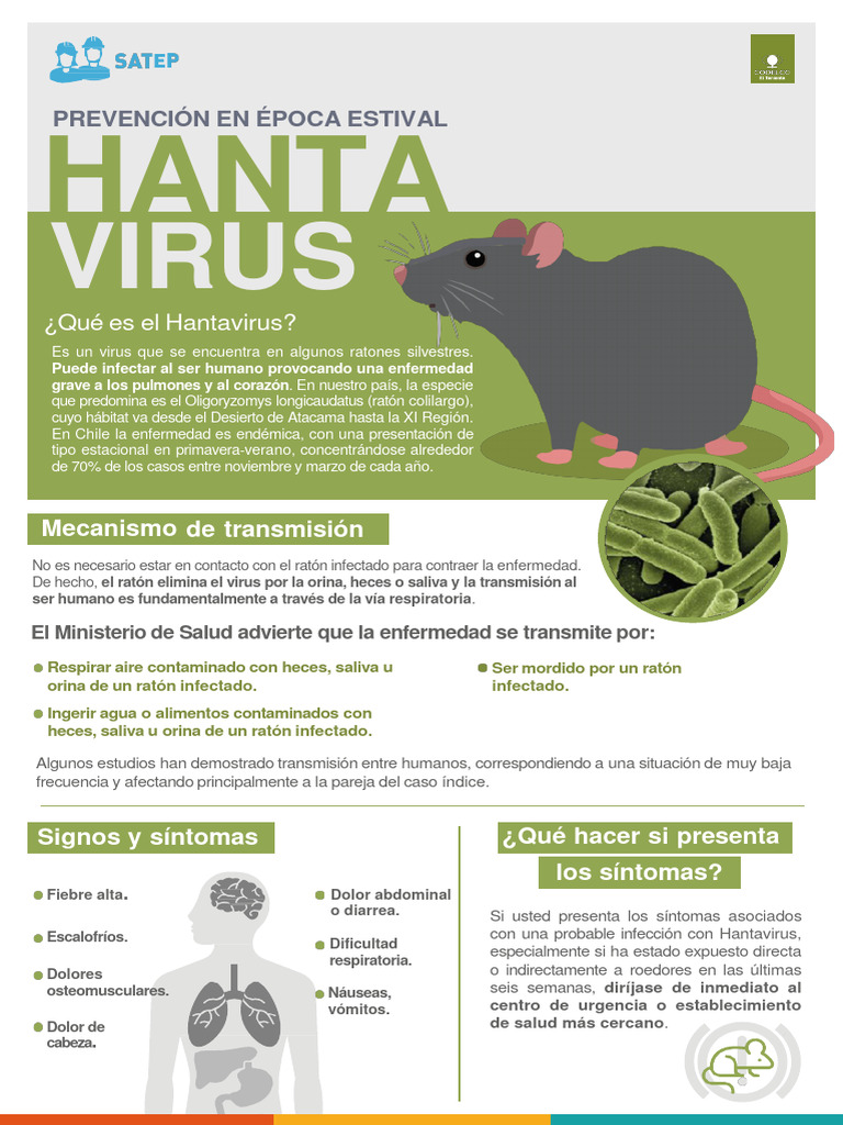 1° Infografia Hantavirus | PDF