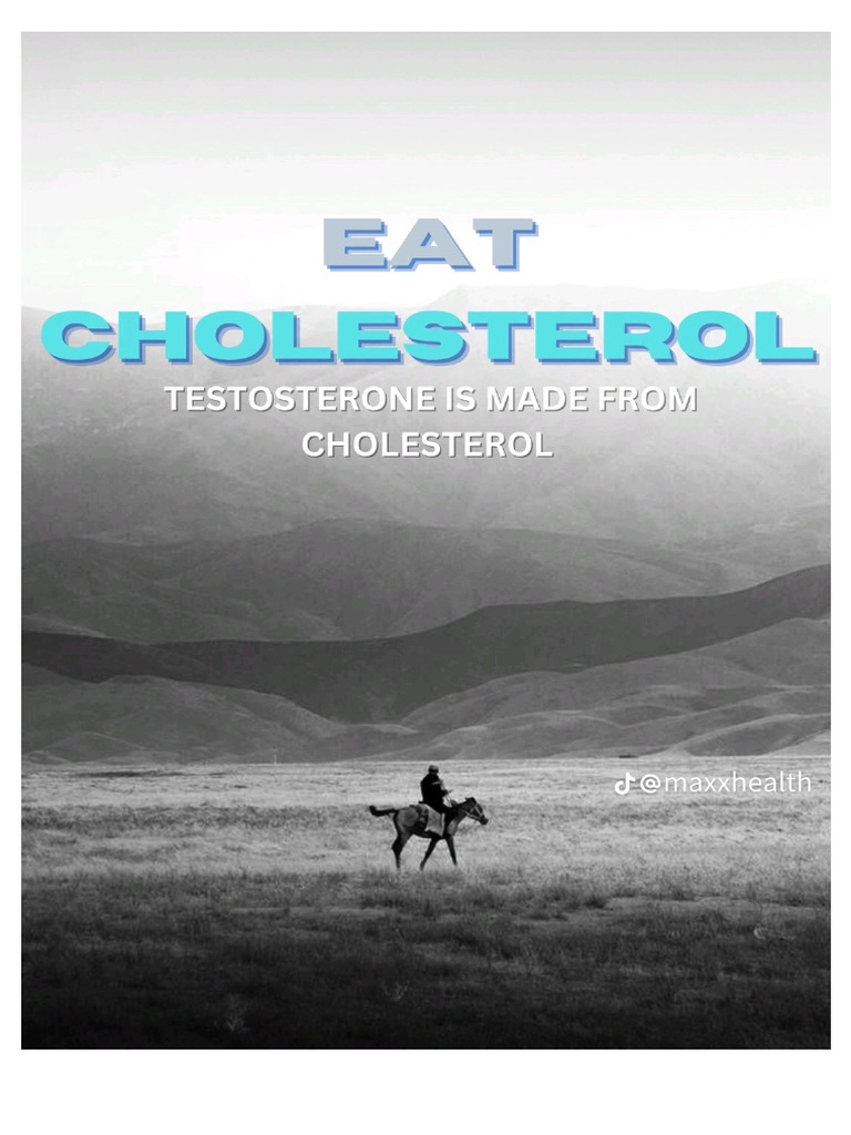 Eat Cholesterol | PDF