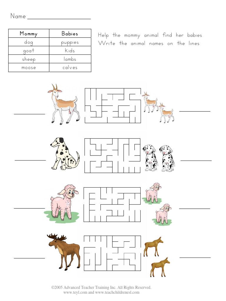 Baby Animals 2 | PDF | Language Arts & Discipline