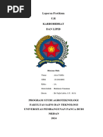 Laporan Lengkap Enzim | PDF