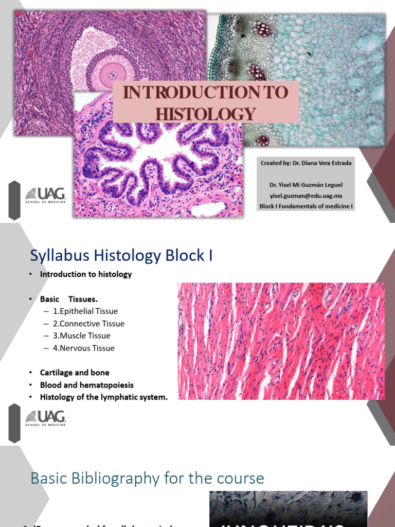 Introduction To Histology 2024-01 | PDF | Staining | Histology