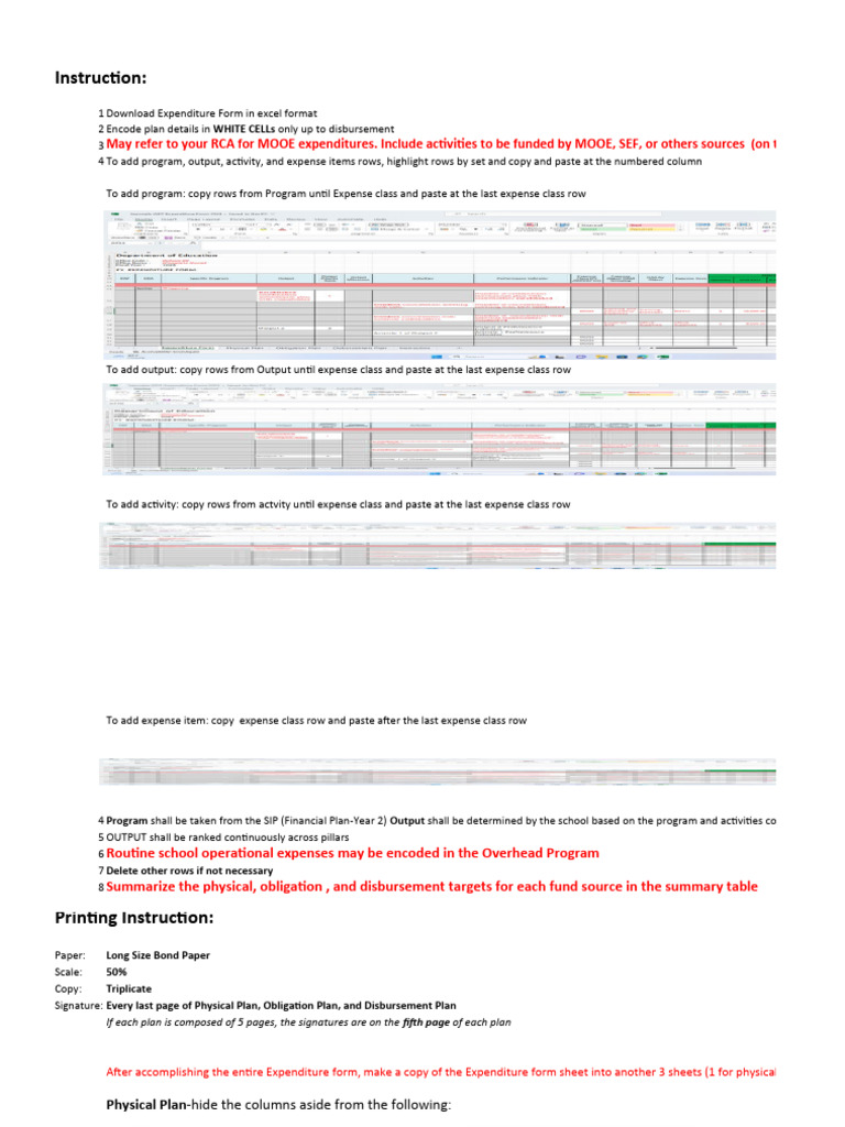 Expenditure Form Instructions 2024 | PDF | Economies | Business