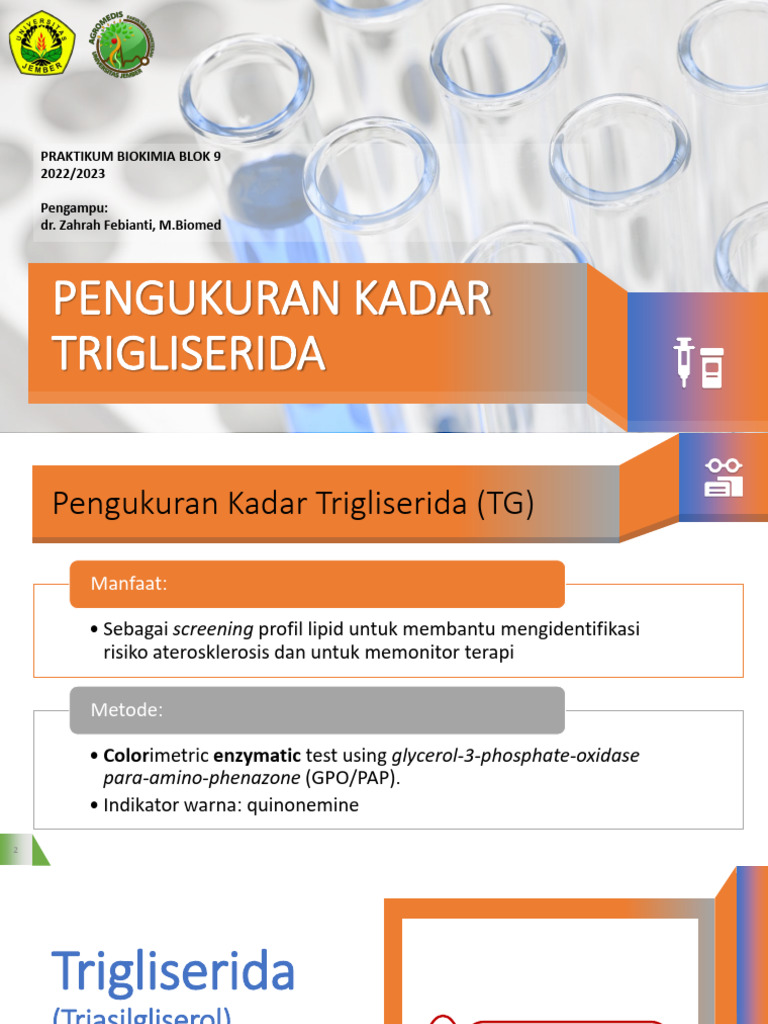 Praktikum TRIGLISERIDA 2023 P1 dan P2 | PDF