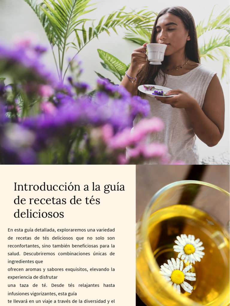 Recetas de Tés Deliciosos | PDF | Té | Alimentos