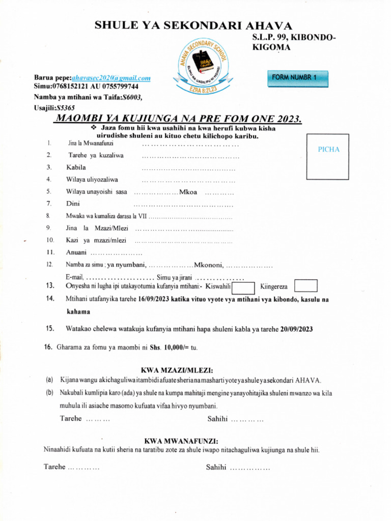 Form Pre Form 1 2023 | PDF