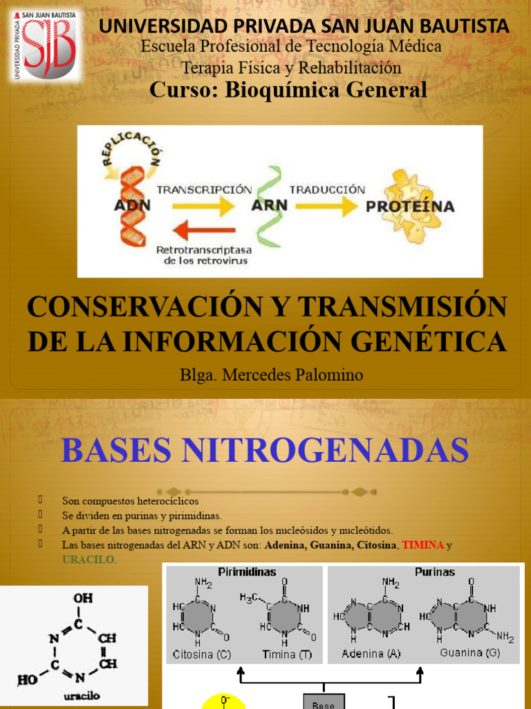 Información Genética | PDF | Adn | Replicación De Adn