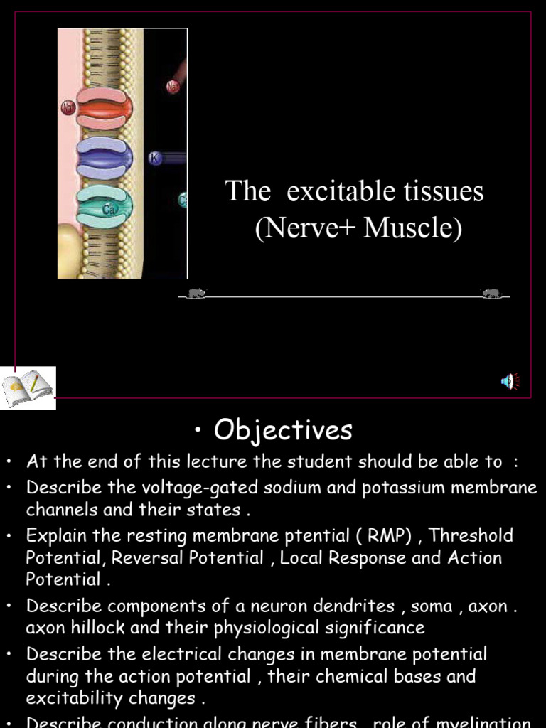 2 & 3-Resting Membrane Potential & Action Potentia | PDF | Action ...