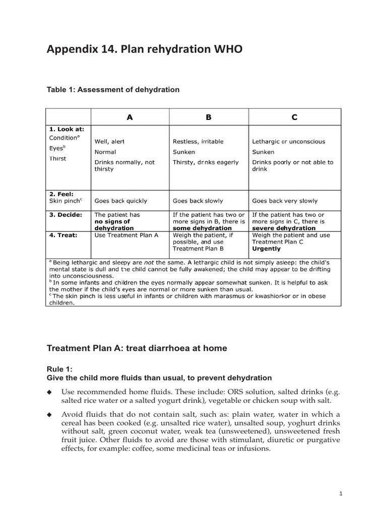 Appendix 14 Plan Rehydration WHO | PDF | Diarrhea | Breastfeeding