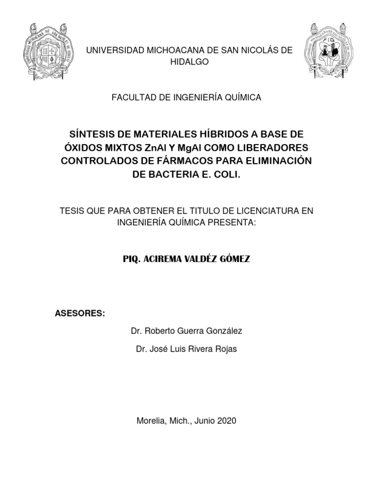 Materiales híbridos ZnAl y MgAl para E. coli | PDF | Medicamentos con ...