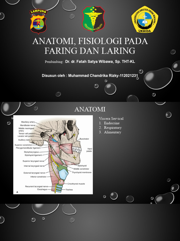 Anat Fisio Kelainan Tenggorokan | PDF