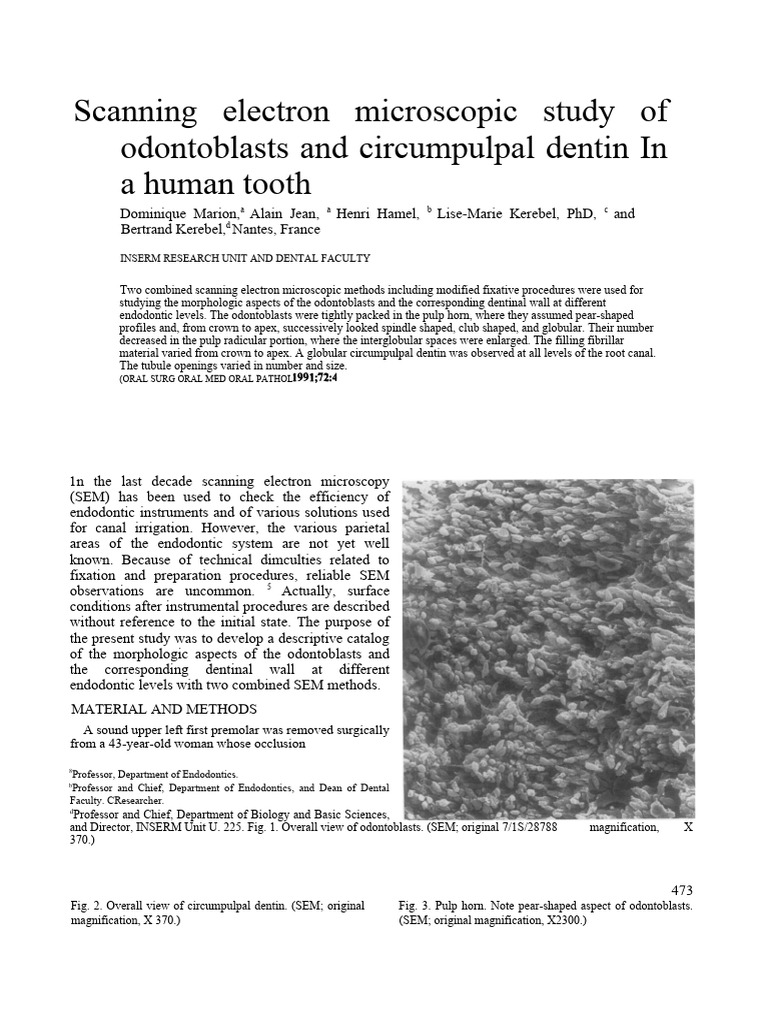 Microsc | PDF | Scanning Electron Microscope | Dentin
