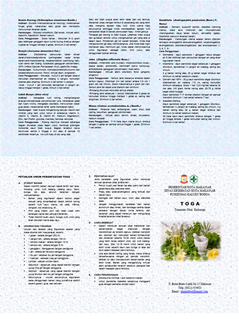 Leaflet Toga | PDF | Kesehatan Holistik