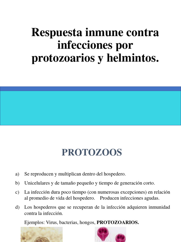 Inmunologia de Parasitos 2024 | PDF | Infección | Sistema inmune