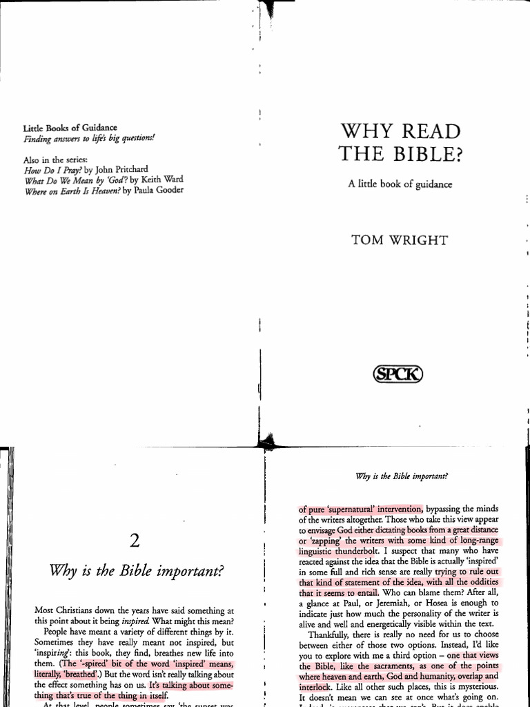 Wright Why The NT Is Important | PDF