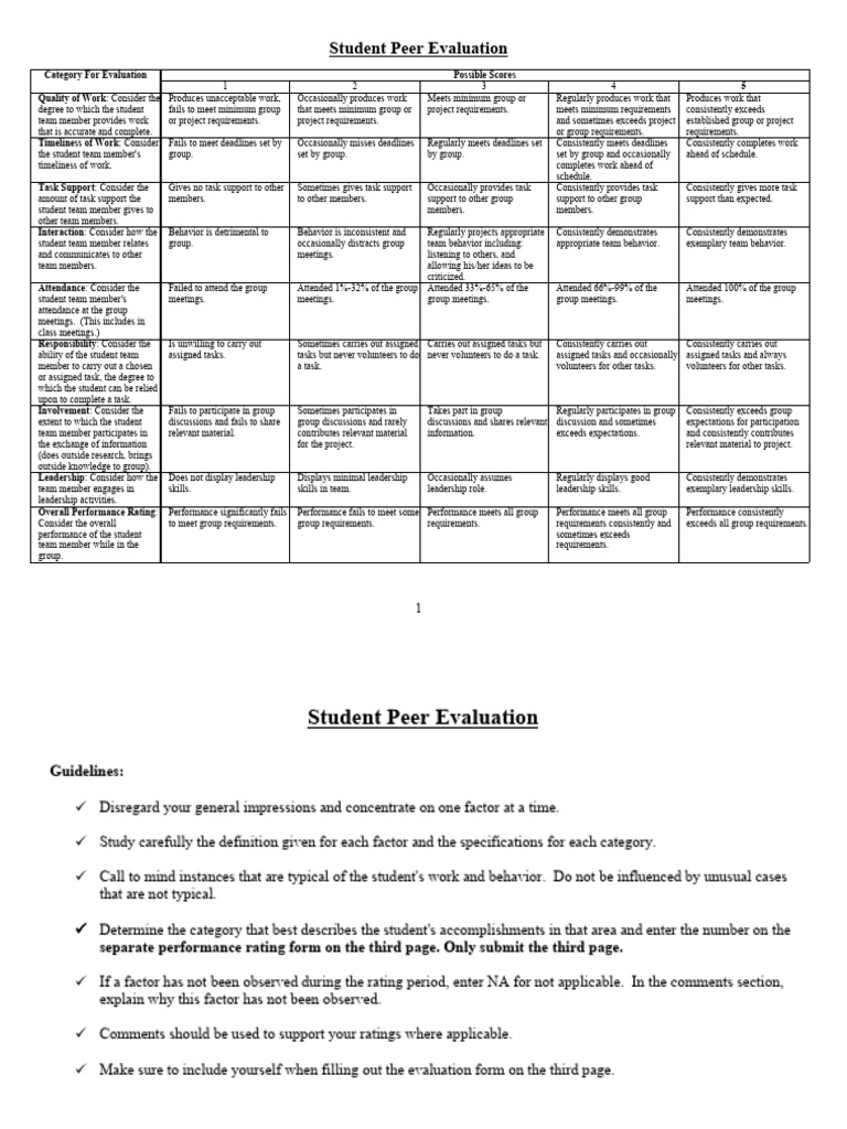 Self Peer Evaluation Pdf Leadership Innovation