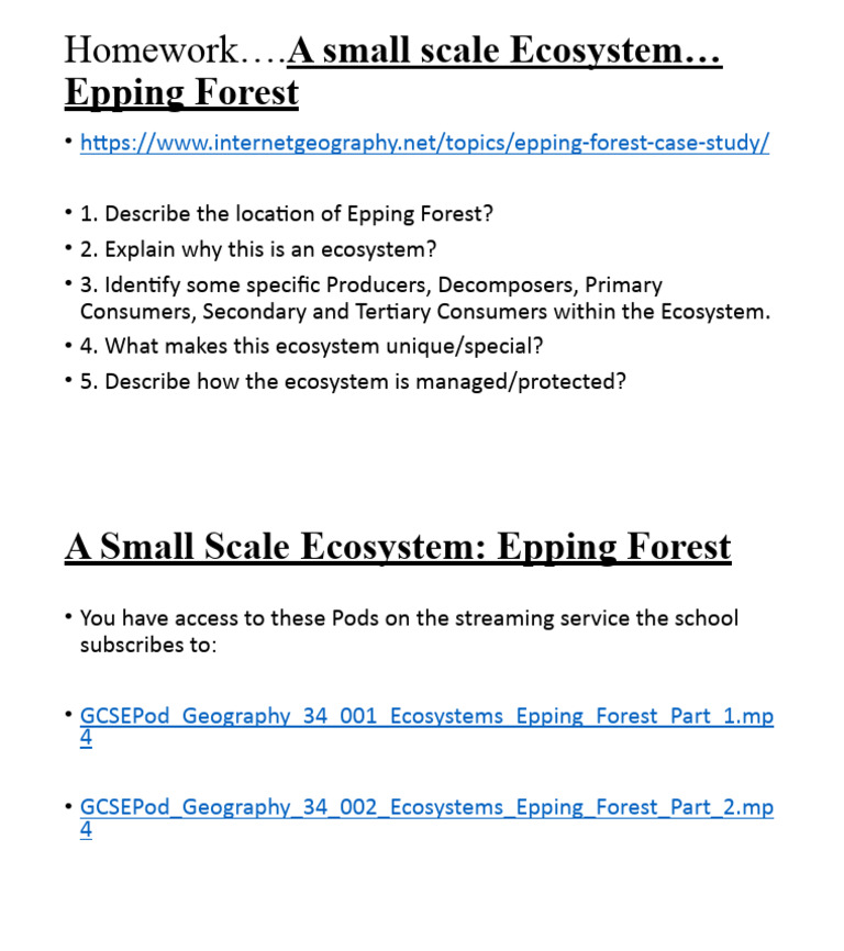 Small Scale Ecosystem... Epping Forest Homework 1 | PDF