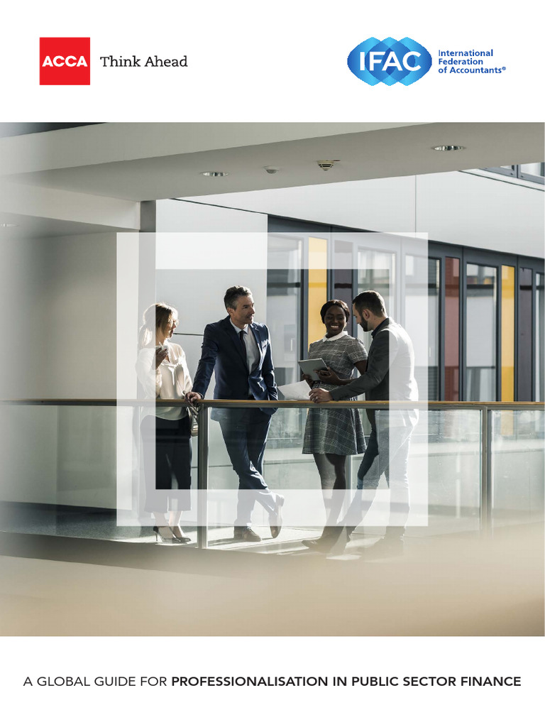 Pi Professionalisation Ps Finance v3 | PDF | Audit | Accounting