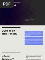 Redes Troncales: Conceptos y Configuración | PDF