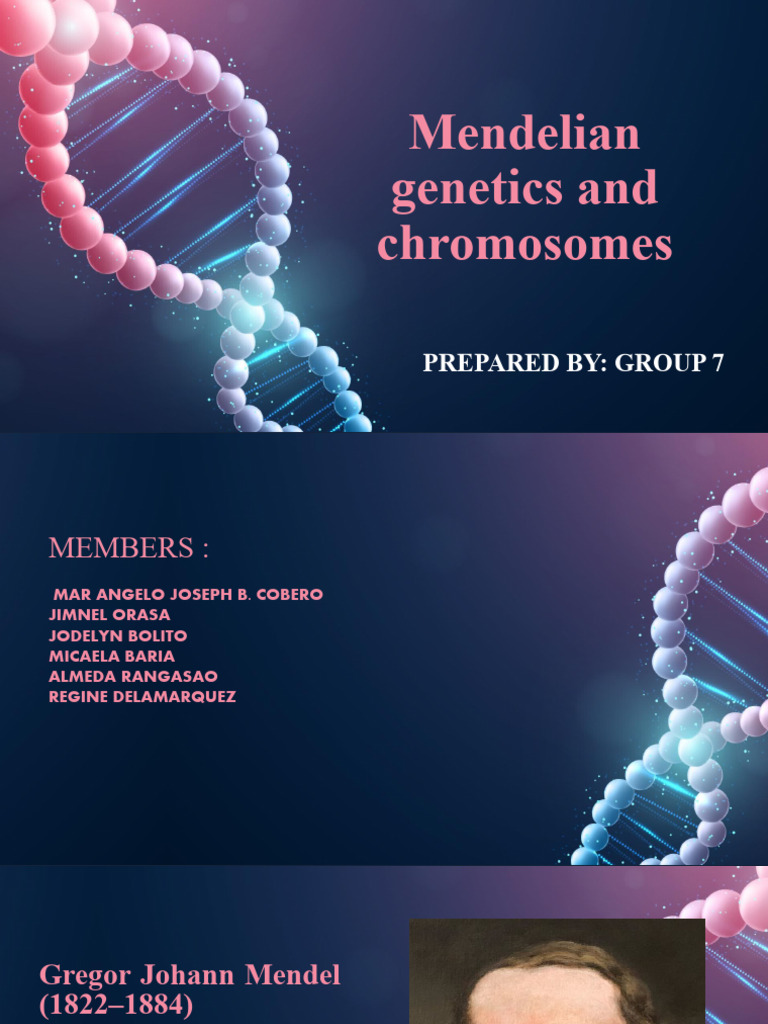 Mendelian Genetics and Chromosomes | PDF | Dominance (Genetics ...