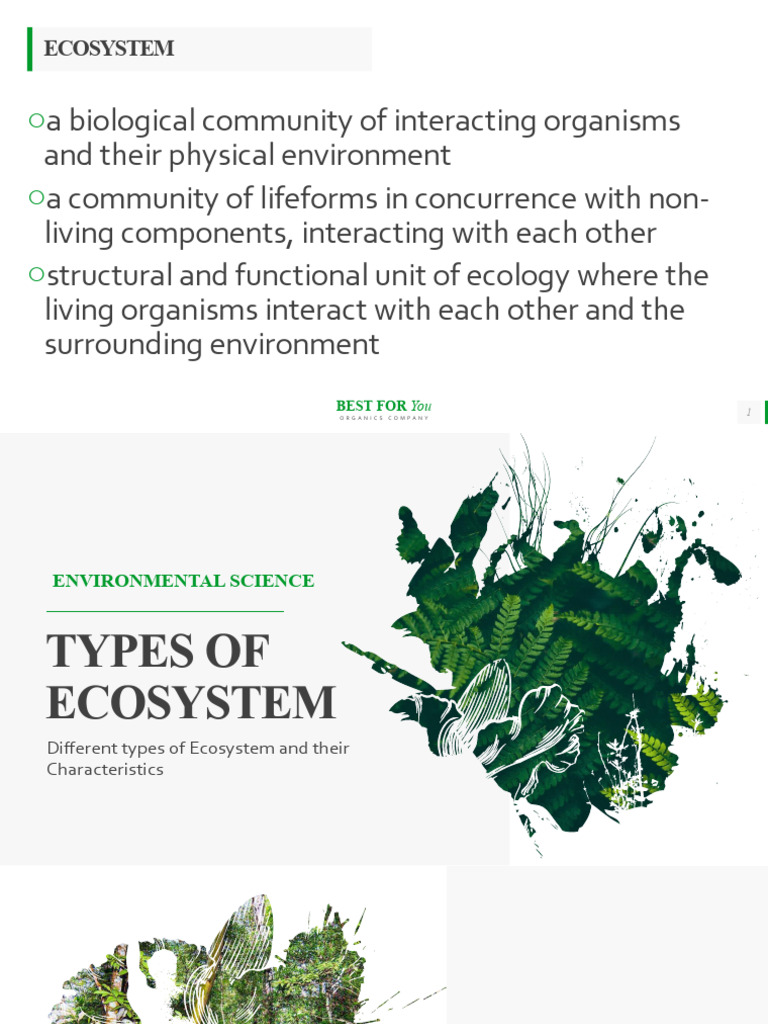 Types of Ecosystem | PDF | Grassland | Ecosystem