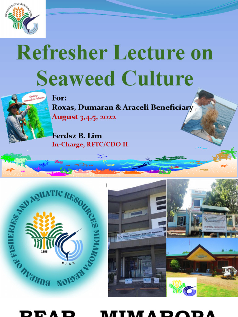 SEAWEED | PDF | Food And Drink