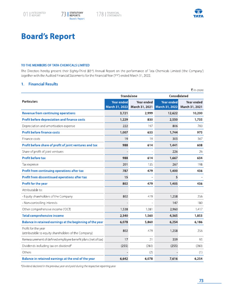 Board's Report | PDF