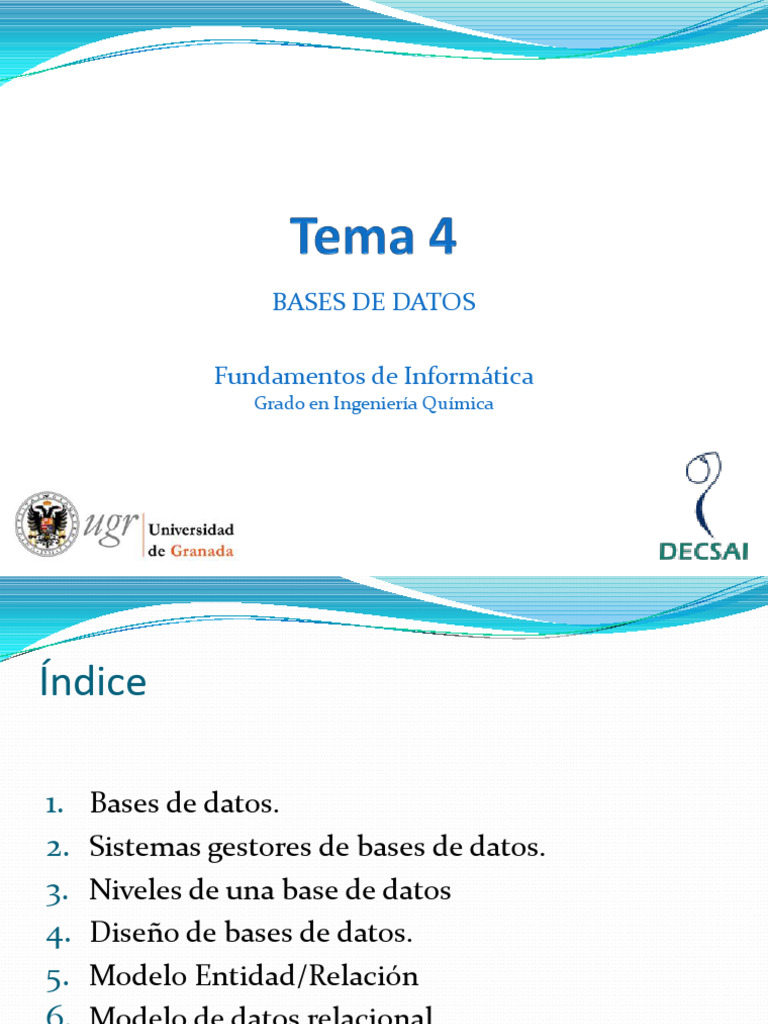 TEMA5INFO | PDF | Base de datos relacional | Bases de datos