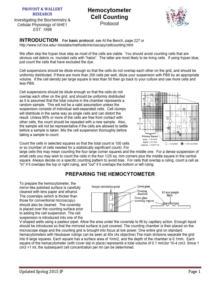 Hemocytometer Cell Counting Protocol | PDF | Chemistry | Laboratory ...