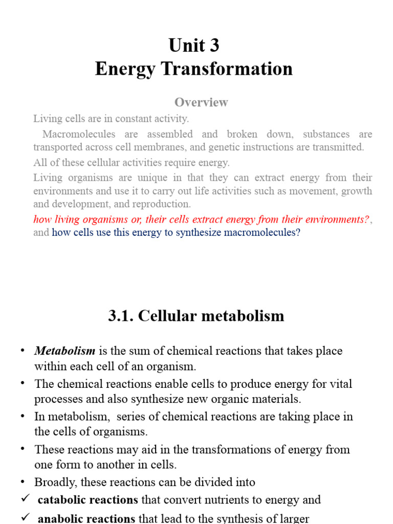 Energy Transformation Biology | PDF | Adenosine Triphosphate | Cellular ...
