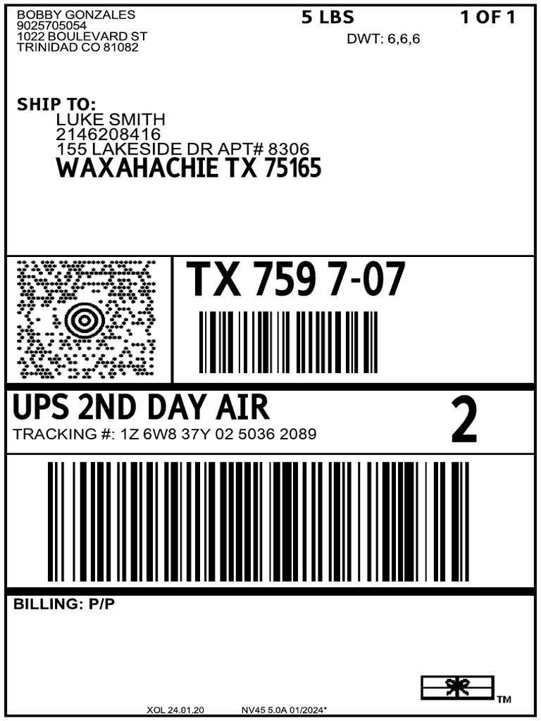 UPS Example Label | PDF