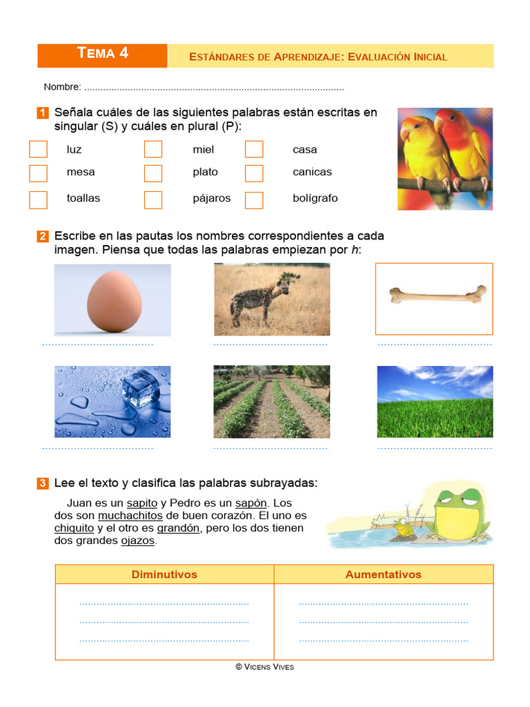 Lengua 3 e Ev Tema 040 | PDF