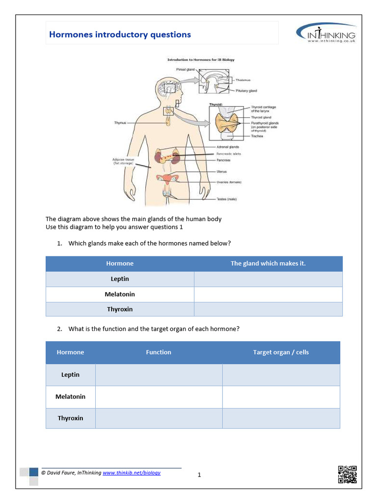 Hormones Intro Questions | PDF | Leptin | Hormone