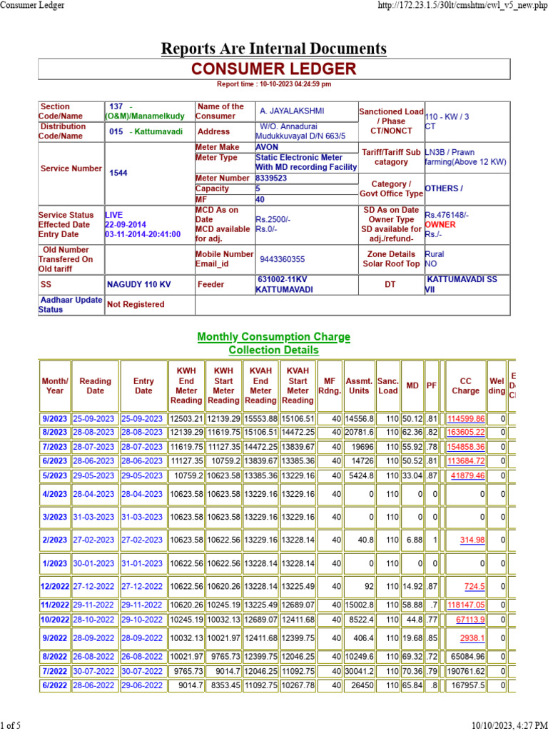 Reports Are Internal Documents: Consumer Ledger | PDF | Economies | Nature