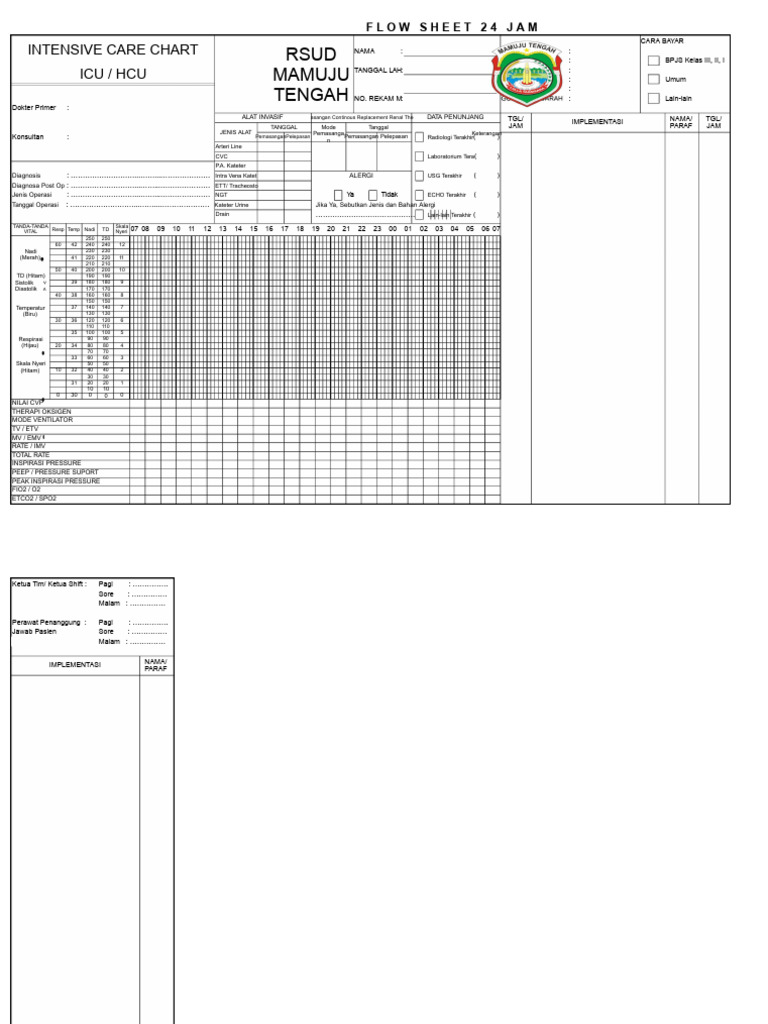 Flowsheet 24 Jam untuk ICU | PDF