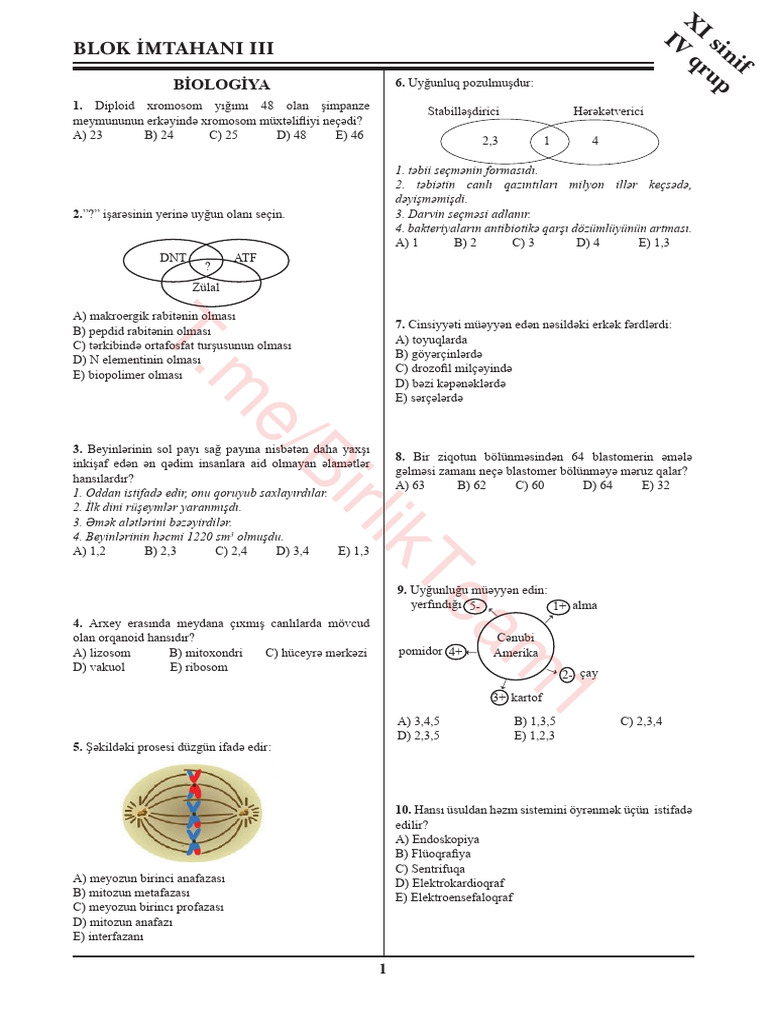 11ci Sinif 4 Blok | PDF