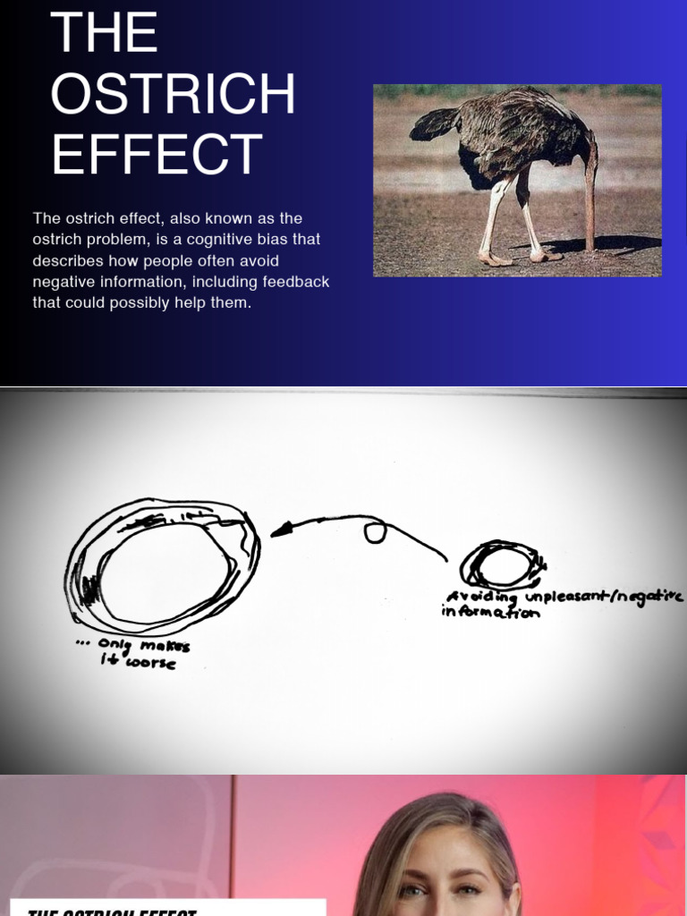 The Ostrich Effect. | PDF | Cognitive Psychology | Social Psychology