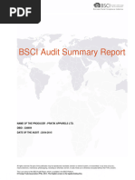 RBA Auditor Guide Book | PDF | Audit | Auditor's Report