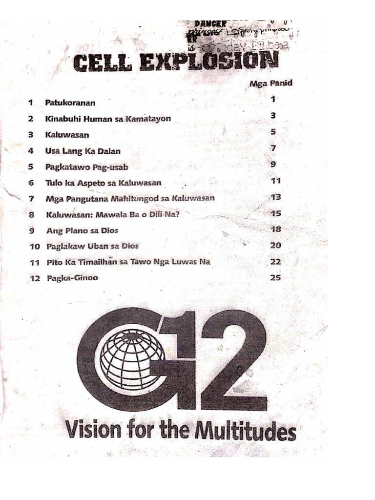 12 Start Up Lessons | PDF