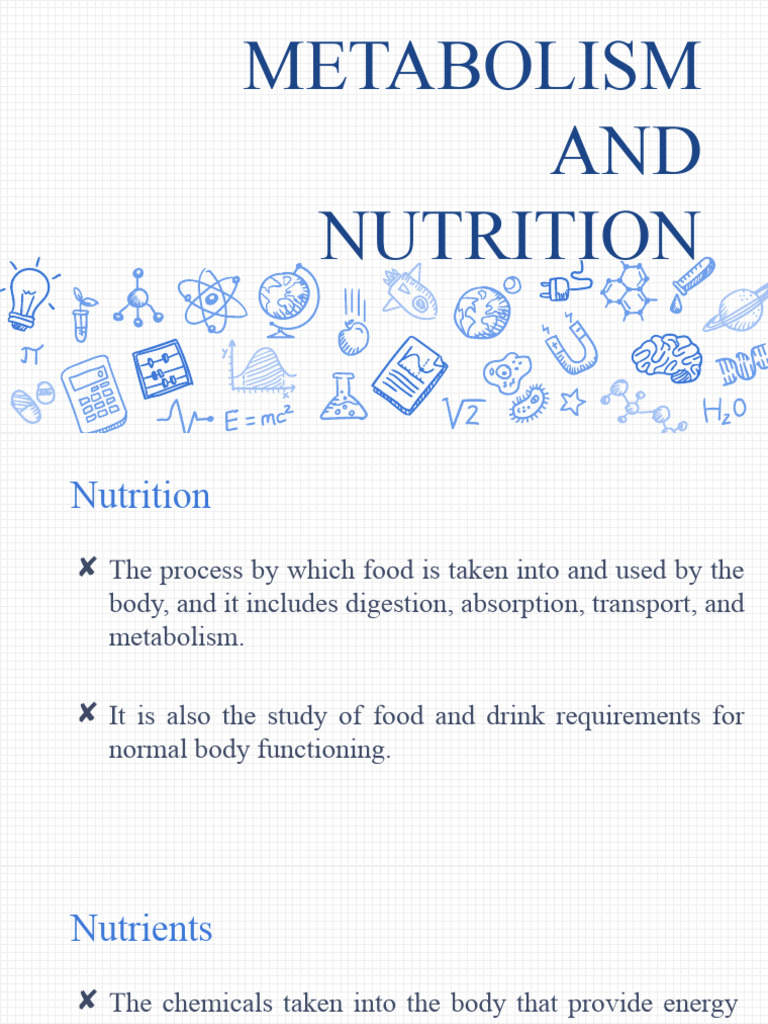 Metabolism and Nutrition | PDF | Cellular Respiration | Glycolysis