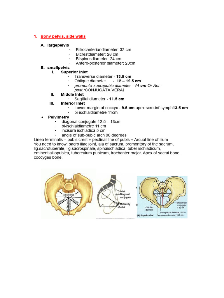 Gynecology Practical Topics | PDF | Menstrual Cycle | Human Chorionic Gonadotropin