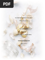 Chapter I Garlic Peel As An Alternative in Making Paper | PDF | Green ...