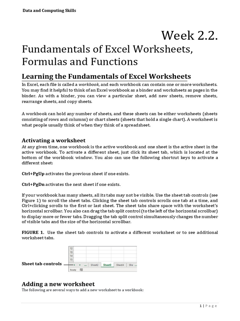 Week 2 2 Fundamentals of Excel Worksheets Formulas and Functions ...