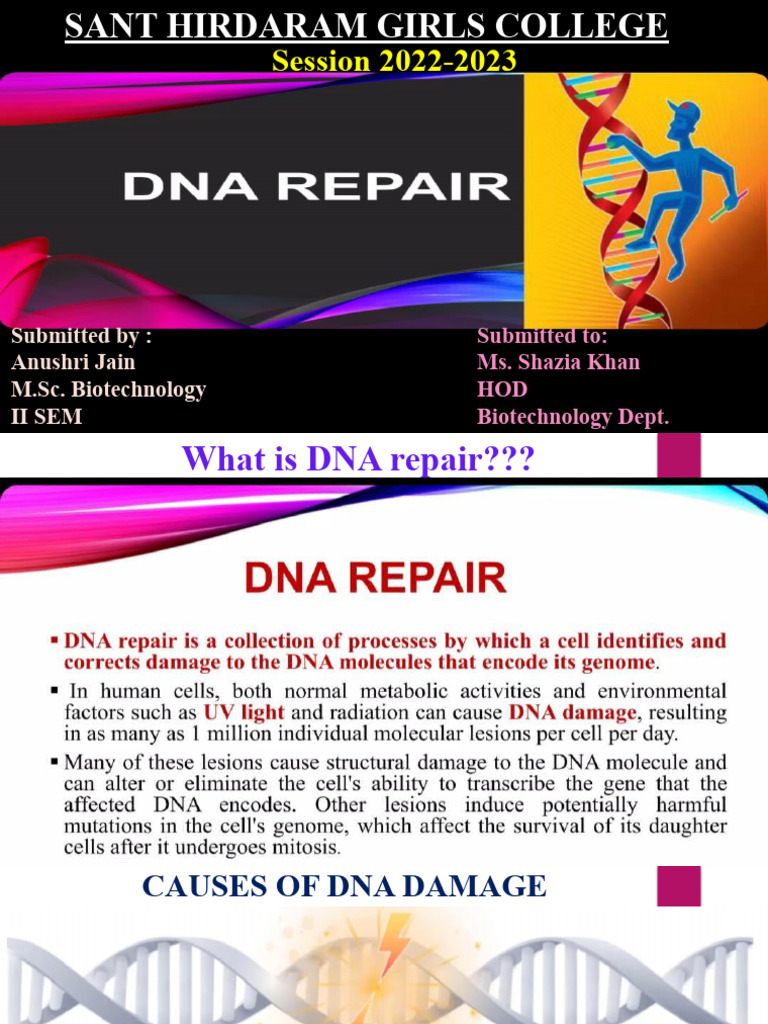 DNA Repair System | PDF | Wellness