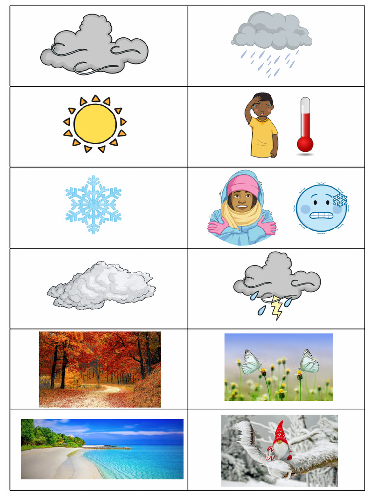 NEA3 Unit 2 Weather Flashcards | PDF