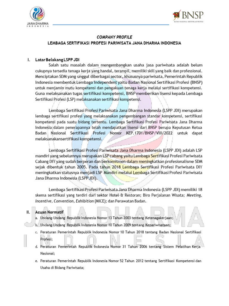 Company Profile LSP JDI-2024 | PDF