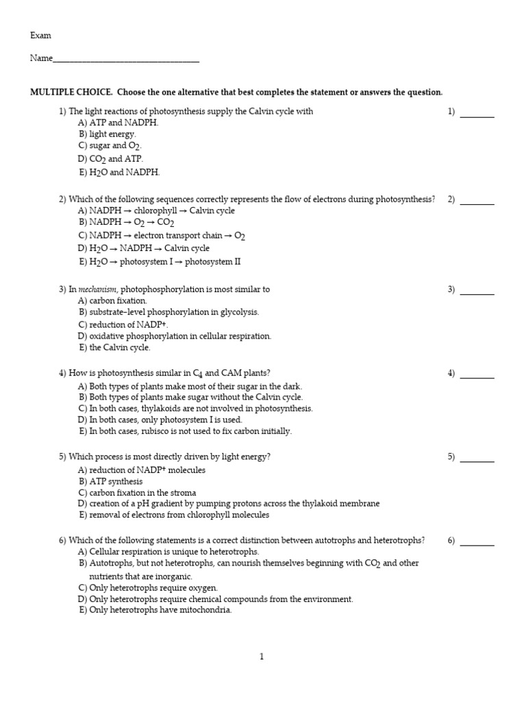 CH 10 - Photosynthesis Practice Quiz | PDF
