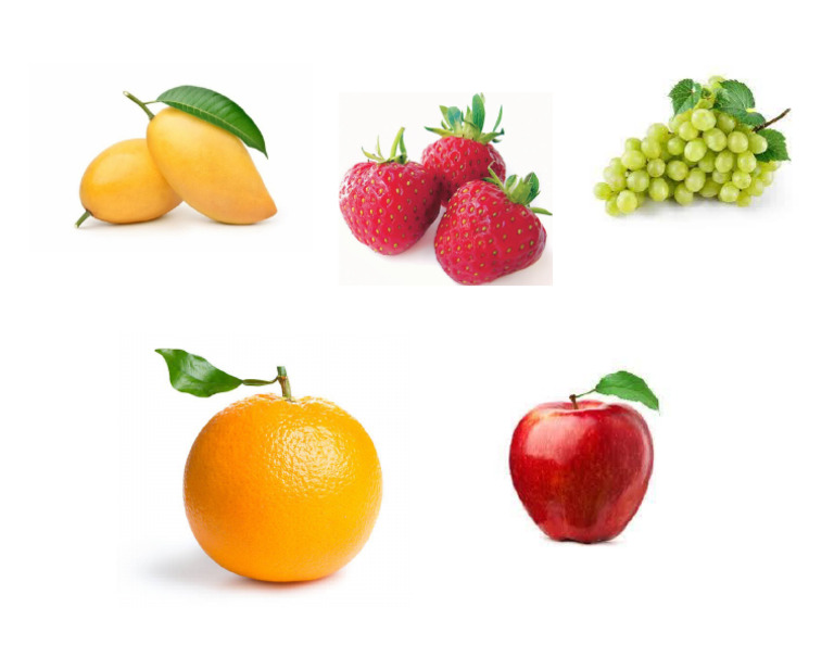 5 five FRUITS | PDF